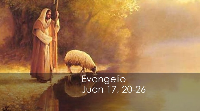 Juan 17, 20-26 - Misioneros Digitales Católicos MDC