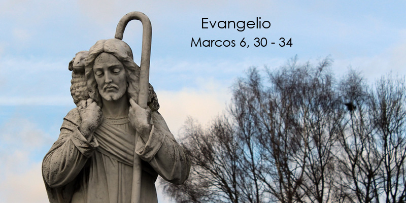 Marcos 6, 30-34 - Misioneros Digitales Católicos MDC