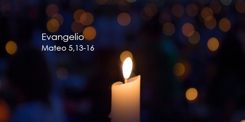 Mateo 5, 13-16 - Misioneros Digitales Católicos MDC