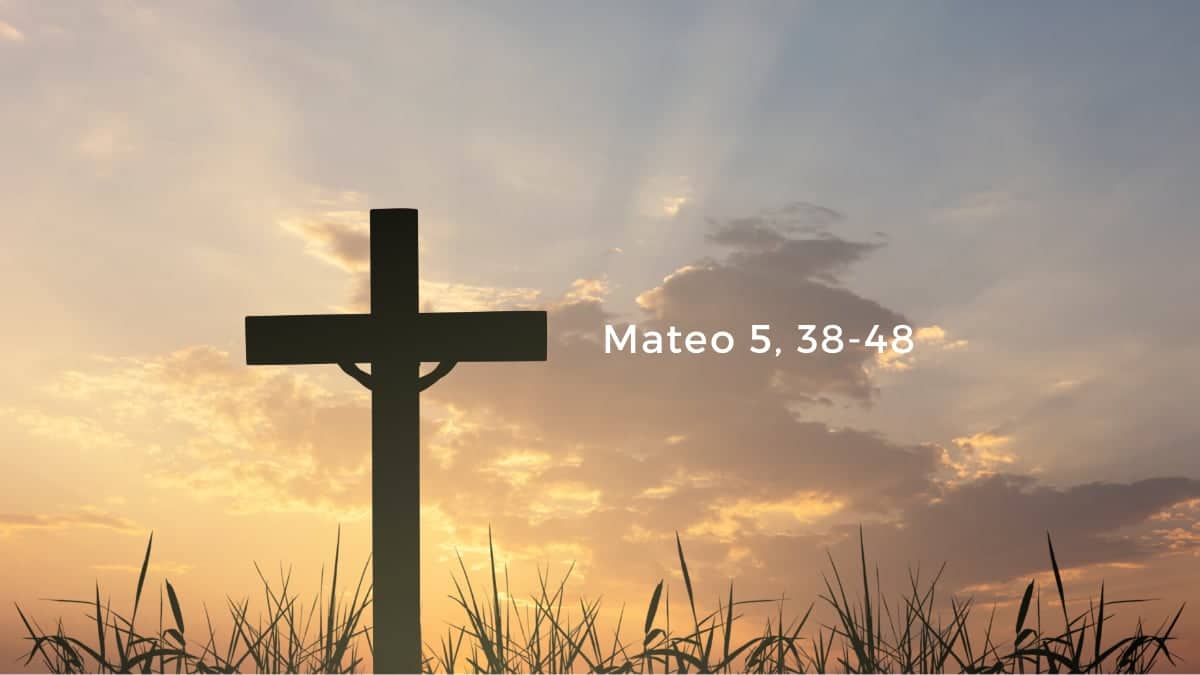 Mateo 5,38-48 - Misioneros Digitales Católicos MDC