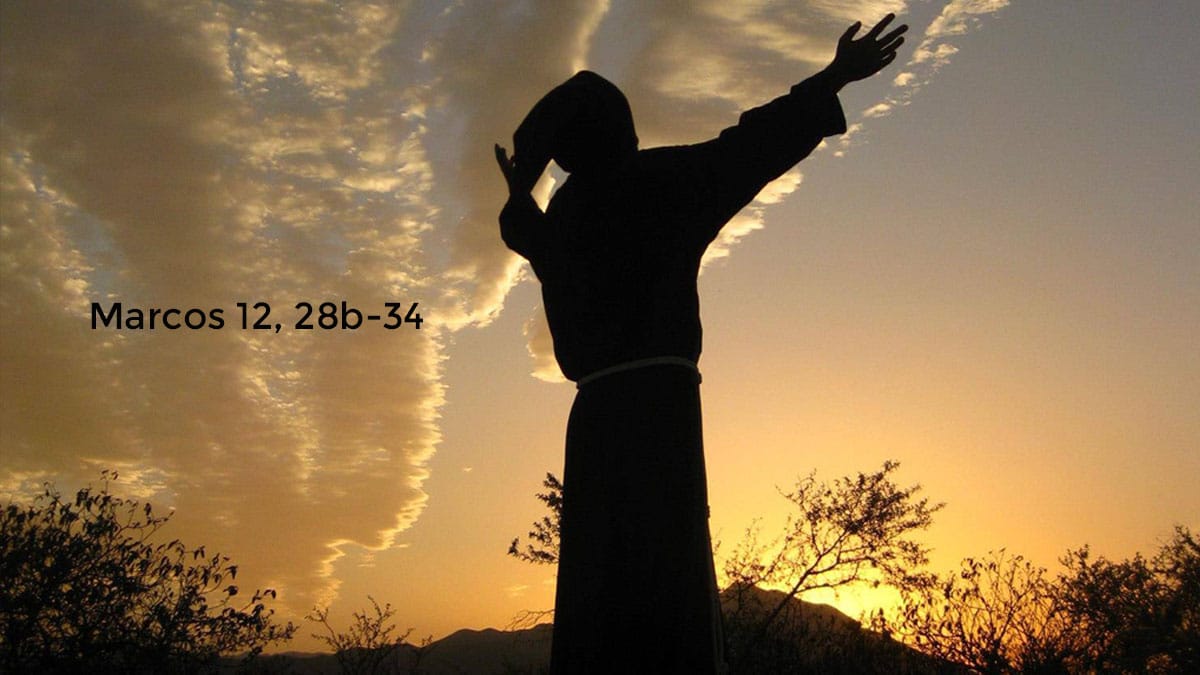 Marcos 12,28b-34 - Misioneros Digitales Católicos MDC