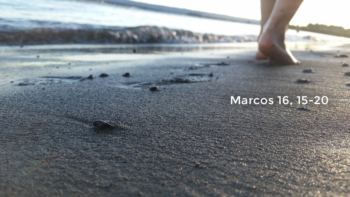 Marcos 16,15-20 - Misioneros Digitales Católicos MDC