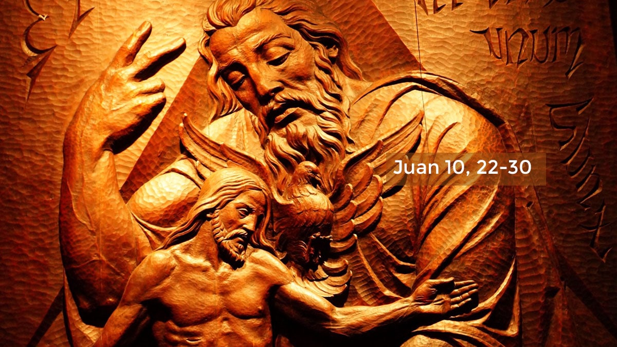 Juan 10,22-30 - Misioneros Digitales Católicos MDC