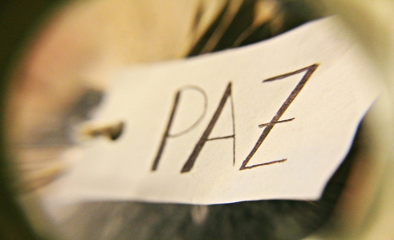 “La paz les dejo, mi paz les doy” - Misioneros Digitales Católicos MDC