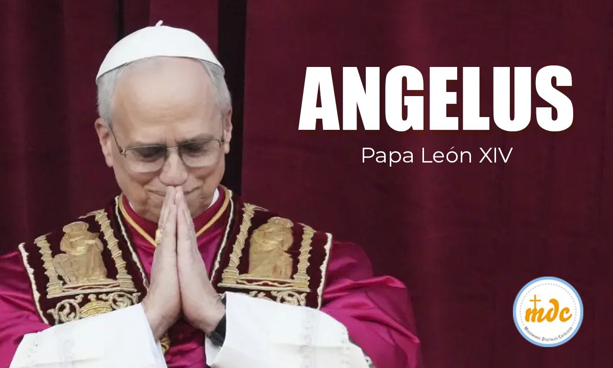 Ángelus del Papa: La vida de Dios es maravillosa y cautivadora, da paz ...